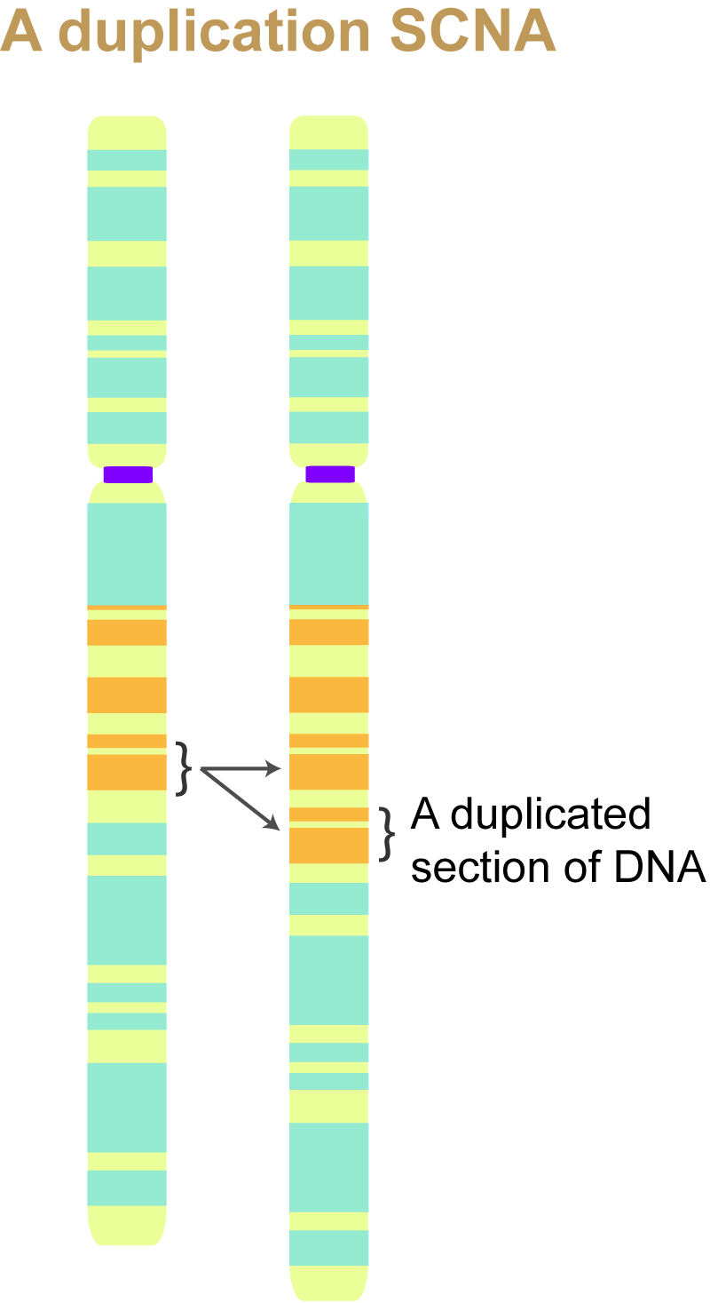 Machine learning applied to cancer: A PhD student doubles the number of ...